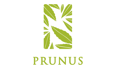 Prunus - Arquitectura y Paisajismo